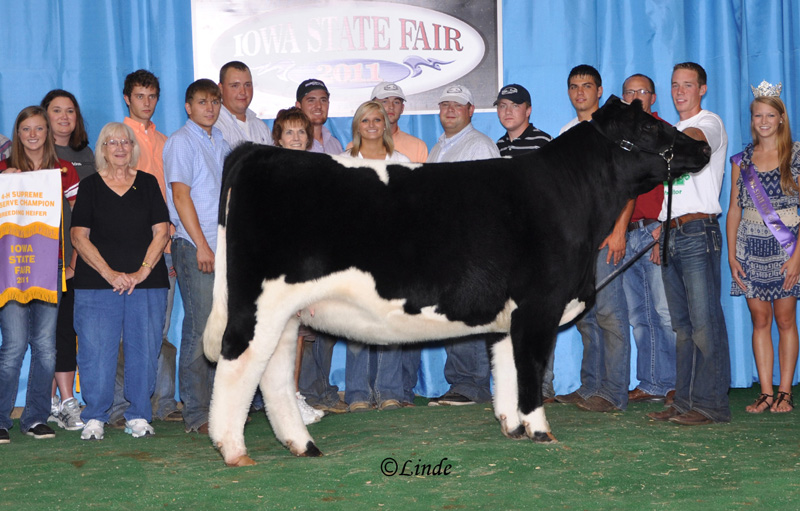 Welcome to Schaeffer & Tice