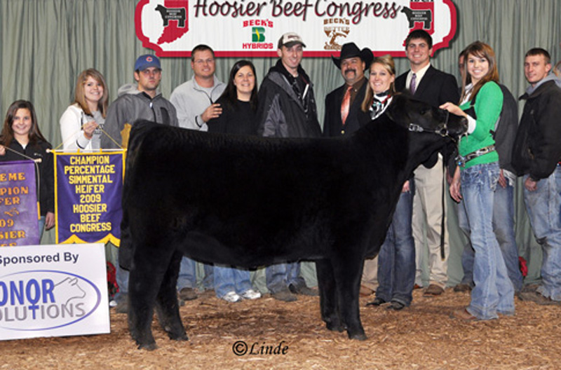 Welcome to Schaeffer & Tice