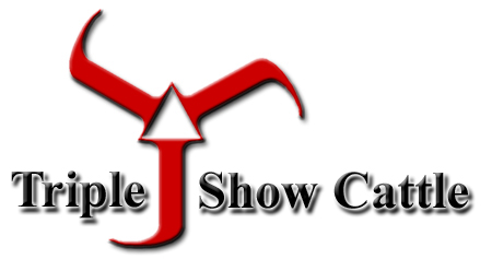 Triple J Club Calf Sale