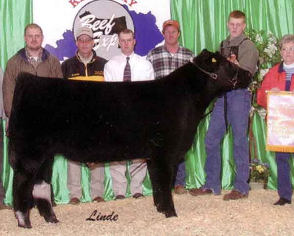 Sandy & Shanks Showsteers