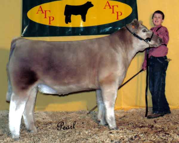 Sandy & Shanks Showsteers